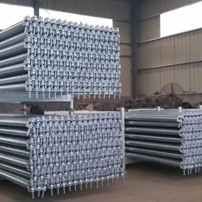 Cina Q355 Scaffalature galvanizzate ad immersione calda regolabili in vendita