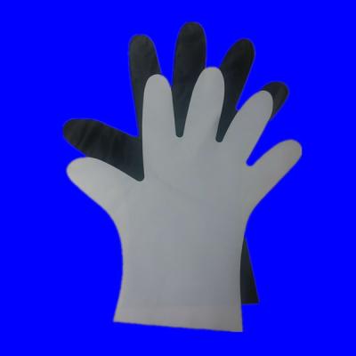 China Disposable LDPE/TPE/CPE Gloves for sale