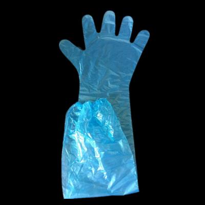 China Disposable LDPE/TPE/CPE long shoulder gloves, veterinary gloves for sale