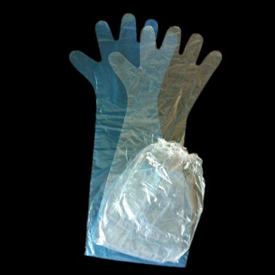 China Disposable LDPE/TPE/CPE long shoulder gloves, veterinary gloves for sale