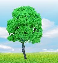 China artificial MINI tree,model trees,model wire tree,architectural model trees,scale trees,model stuffs for sale
