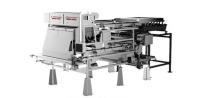 China Food Grade SS304 CCD AI Vegetable Sorting Machine for sale