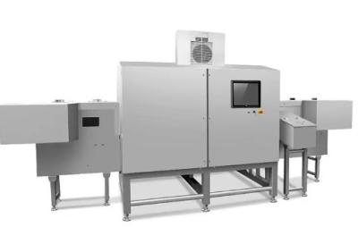 Cina 3.5kW SUS304 inclinava il singolo fascio discendente X Ray Inspection System in vendita