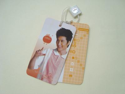 Cina Abbigliamento di lusso stampato su ordinazione Hang Tags Embossed Silver Foil di carta che timbra logo in vendita