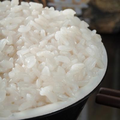 Cina Riso Konjac organico purificato della farina di riso 500g Shirataki asciutto in vendita