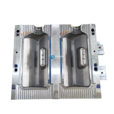 Cina High Quality Stainless Steel S136HExtrusion Blow Molding Mold Plastic Bottle Mould in vendita