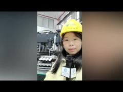 Hdpe 수의학 백신 주입 펄어 폼 머신 30ml 병