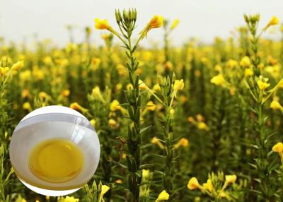 China Evening Primrose Natural Plant Extract Oil Gamma Linolenic Acid 9% CAS 506 26 3 for sale