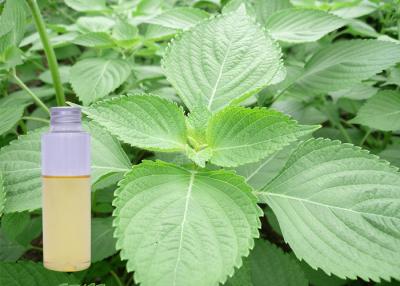 China Omega 3 ALA Natural Plant Extract Oil Perilla Frutescens Extract Yellow Color for sale