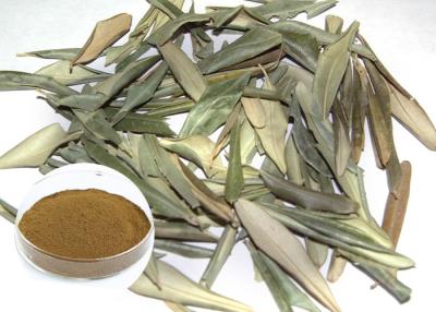 China Oleuropein 20% Plant Extract Powder Brown Color Olive Leaf Extraction for sale