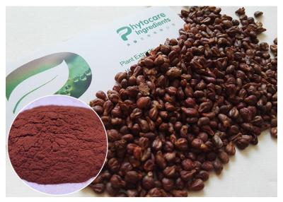 China Dietary Supplement Grape Extract Supplement , Anti Aging Red Grape Extract Powder for sale