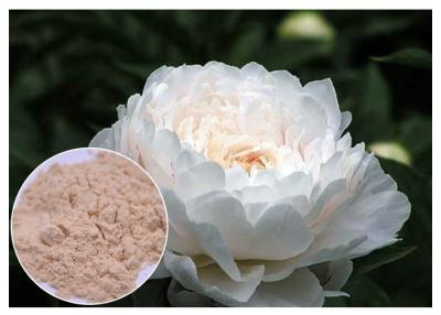 China Skin Care Peony Root Extract Insoluble In Water , Paeonia Lactiflora Root Extract Powder for sale