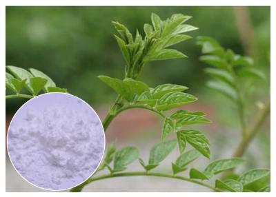 China Skin Care Natural Cosmetic Ingredients Liquorice Root Extract White Powder 90% HPLC for sale