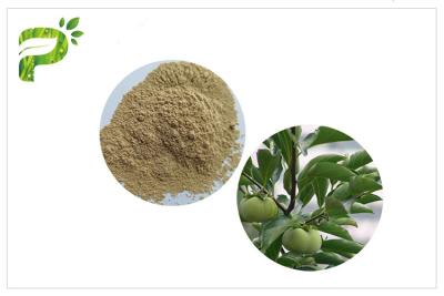 China Natural Plant Ursolic Acid Extract , CAS 77 52 1 Persimmon Leaf Powder High Purity for sale
