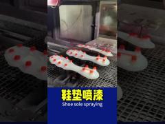 Efficient Shoe Sole Coating Spray Machine