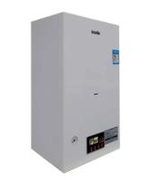 China Customizable Metal Shell Gas Water Heater with Adjustable Thermostat Function for sale
