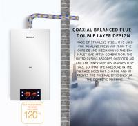 China Customizable Metal Shell Gas Water Heater with Adjustable Thermostat Function for sale
