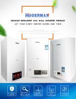 China Customizable Metal Shell Gas Water Heater with Adjustable Thermostat Function for sale