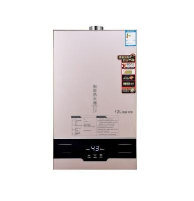 China Instant Tankless NG 2000Pa /LPG 2800Pa Gas Shower Water Heater for Whole House Heating for sale