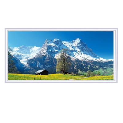 China 220V-240V/50Hz Wall Mounted Electric Image IR Customized Painting Heating Panels for sale
