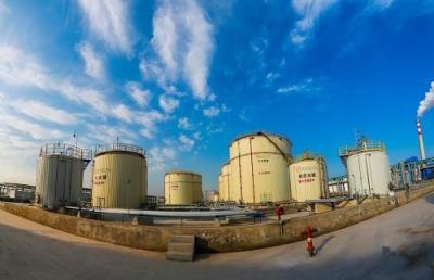 Cina Il rivestimento per la pompa, portata della resina/granello del polivinilidene PVDF di RoHS ha elencato in vendita