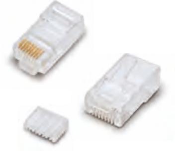 Cat.6 Plug 8P8C 3U-50U Unshielded.