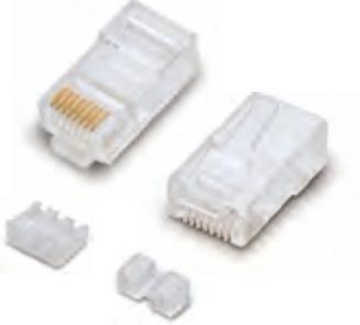 Cat. 6A Plug 8P8C 3U-50U Unshieled