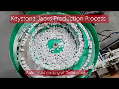 Degré Jack trapézoïdal ZCM245-C5/6/6A, clef de voûte, Ethernet d'UTP RJ45 90, de fabricant de la Chine - Zion Communiation
