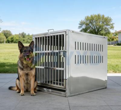 China TYXD Stainless Steel Dog Cage Assembly Type Metal Pet Crates for sale