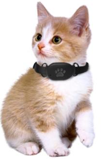 Cina inseguitore ricaricabile di perdita di 500mAh GPS AGPS libbre WiFi anti in vendita