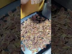 DQ-100 Multi Angle Adjustable Herb Slicer Machine 6.0kg Manual Slicer