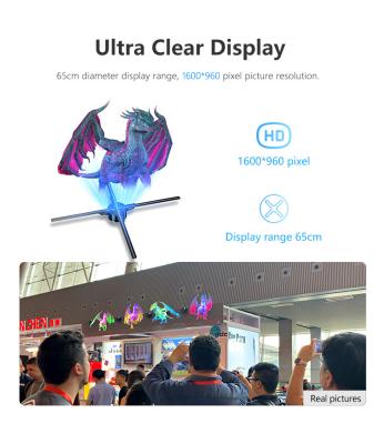 Cina il temporizzatore dell'esposizione dell'ologramma 3d di 65cm ha spaccato il video schermo di ventilatore a muro in vendita