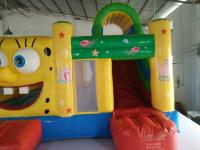 China Professional Inflatable Jumping Castle PVC material 6x5x3m for sale