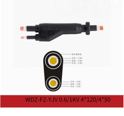 China IP67 Waterproof 4mm Branch Sheathed Flexible Cable Twin Core Wire 1KV OEM for sale