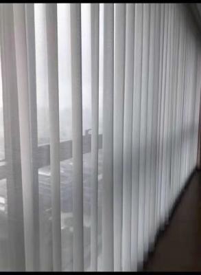 Cina Tende oscuranti antivento oscuranti di colore chiaro Tende a rullo motorizzate 100% poliestere in vendita