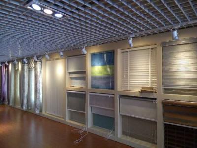 Cina Tende oscuranti antivento oscuranti di colore chiaro Tende a rullo motorizzate 100% poliestere in vendita