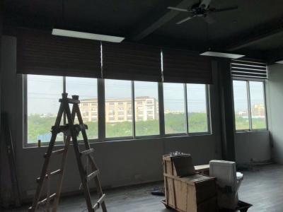 Cina Tende oscuranti antivento oscuranti di colore chiaro Tende a rullo motorizzate 100% poliestere in vendita