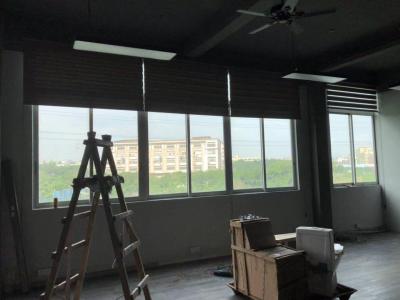 Cina Tende oscuranti antivento oscuranti di colore chiaro Tende a rullo motorizzate 100% poliestere in vendita