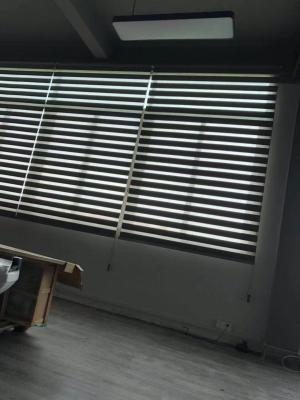 Cina Tende oscuranti antivento oscuranti di colore chiaro Tende a rullo motorizzate 100% poliestere in vendita