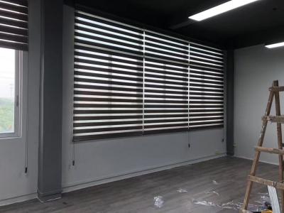 Cina Tende oscuranti antivento oscuranti di colore chiaro Tende a rullo motorizzate 100% poliestere in vendita