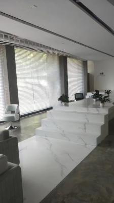 Cina Tende oscuranti antivento oscuranti di colore chiaro Tende a rullo motorizzate 100% poliestere in vendita