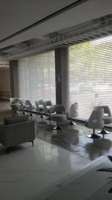 Cina Tende oscuranti antivento oscuranti di colore chiaro Tende a rullo motorizzate 100% poliestere in vendita