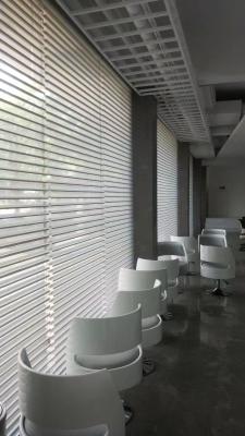 Cina Tende oscuranti antivento oscuranti di colore chiaro Tende a rullo motorizzate 100% poliestere in vendita