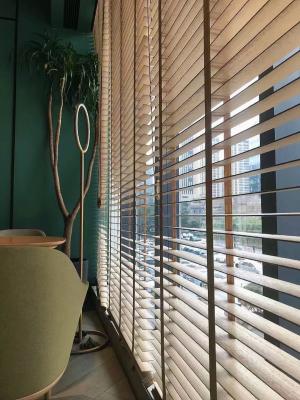 Cina Tende oscuranti antivento oscuranti di colore chiaro Tende a rullo motorizzate 100% poliestere in vendita