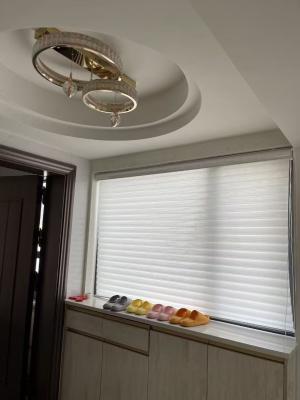 Cina Automatico a batteria azionato a motore blackout zebra persiane a rulli tende per Windows Zigbee APP in vendita