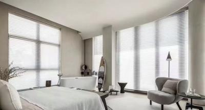 Cina Automatico a batteria azionato a motore blackout zebra persiane a rulli tende per Windows Zigbee APP in vendita