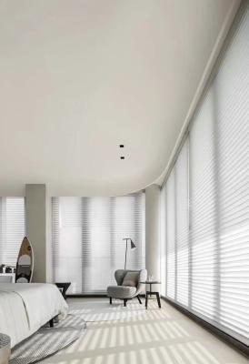 Cina Automatico a batteria azionato a motore blackout zebra persiane a rulli tende per Windows Zigbee APP in vendita