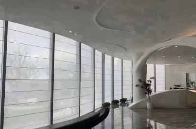 Cina Automatico a batteria azionato a motore blackout zebra persiane a rulli tende per Windows Zigbee APP in vendita