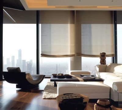 Cina Automatico a batteria azionato a motore blackout zebra persiane a rulli tende per Windows Zigbee APP in vendita