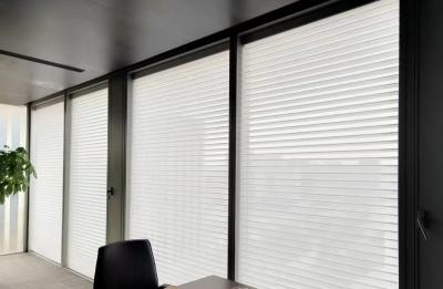 Cina Automatico a batteria azionato a motore blackout zebra persiane a rulli tende per Windows Zigbee APP in vendita